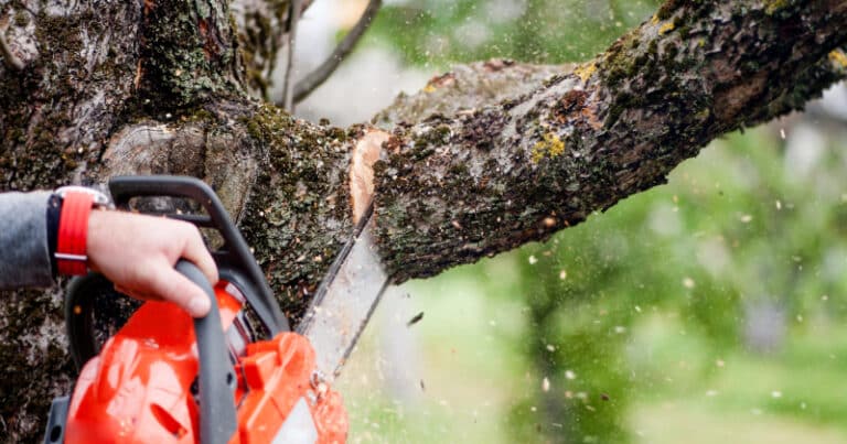3 Printable Tree Service Estimate Templates - Inside Advisor Pro